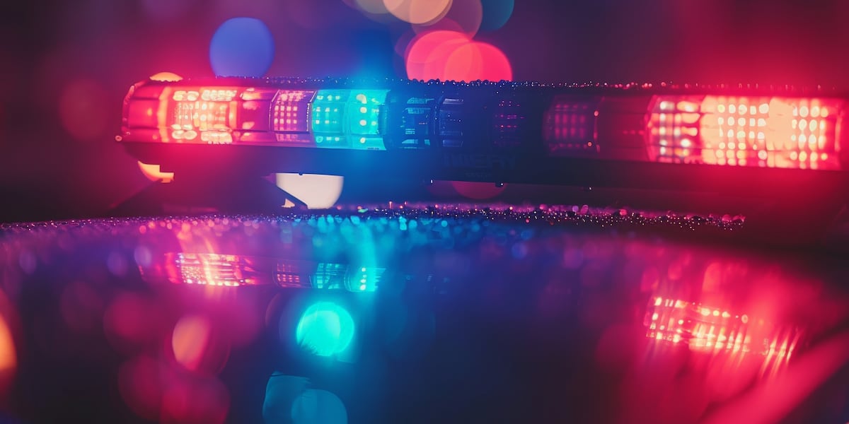 Two Men Arrested After Large Disturbance Leads To Assault Of A